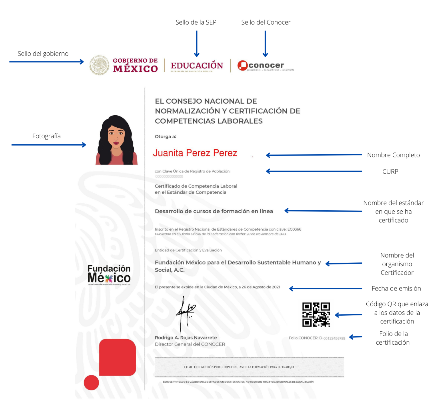 Certificaciones Conocer/SEP Vive Desarrollándote Certificaciones Conocer