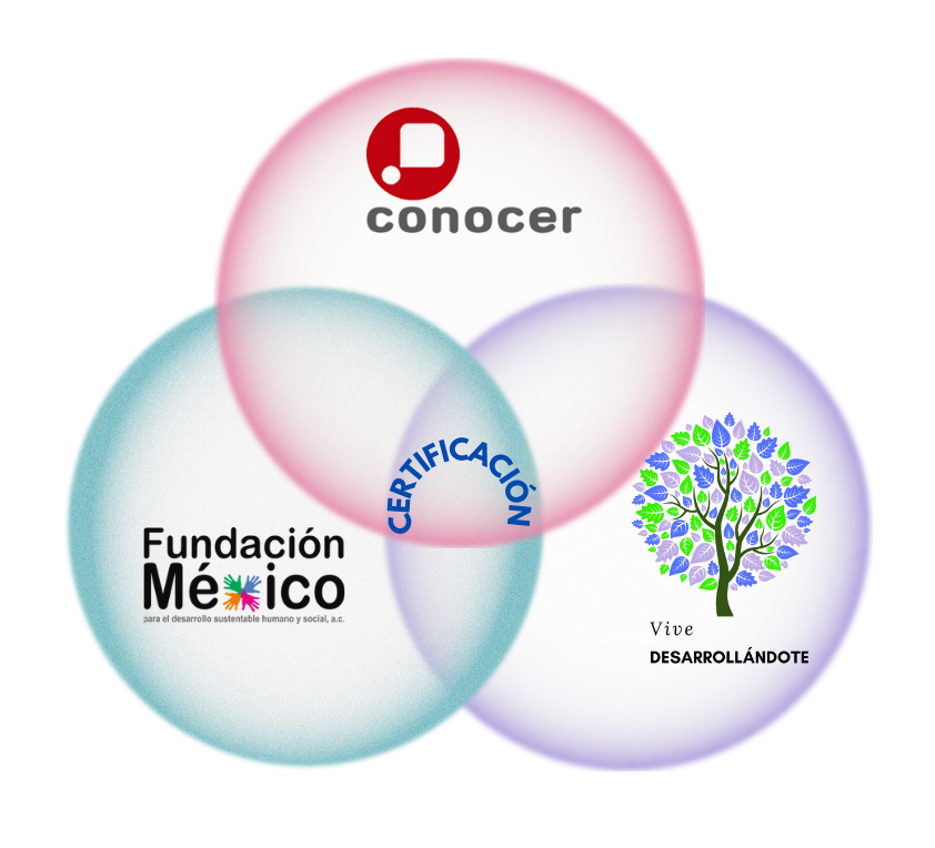 Certificaciones Conocer/SEP – Learn Baking